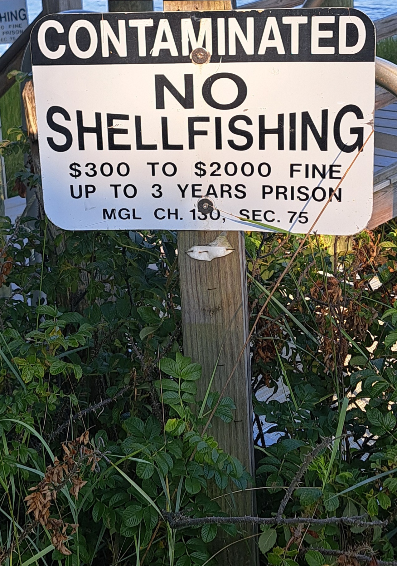 Shoestring Bay Degradation: The Good, The Bad, and the Really Ugly ...