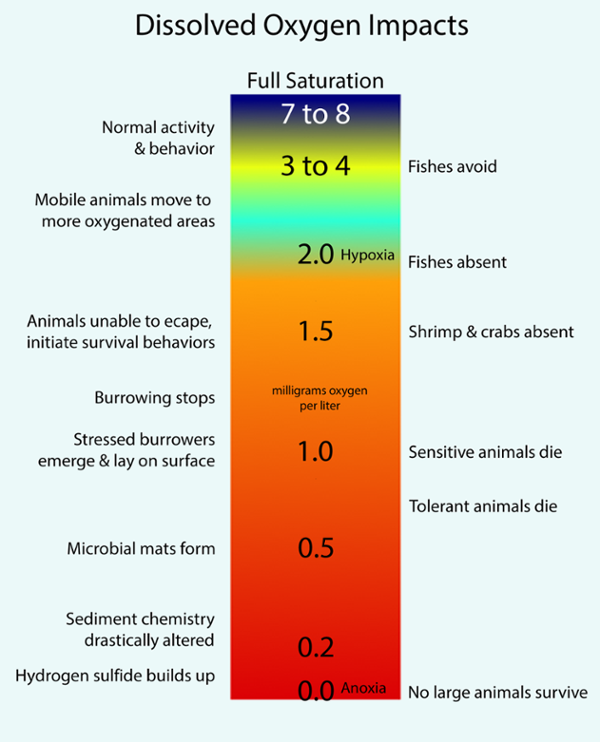 Shoestring Bay Degradation: The Good, The Bad, and the Really Ugly ...